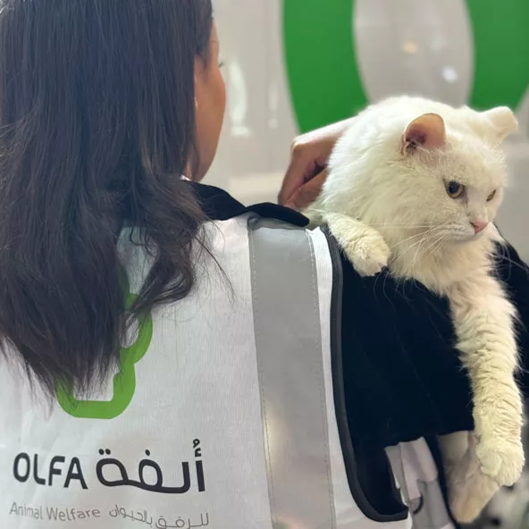 Volunteer program | Aramco
