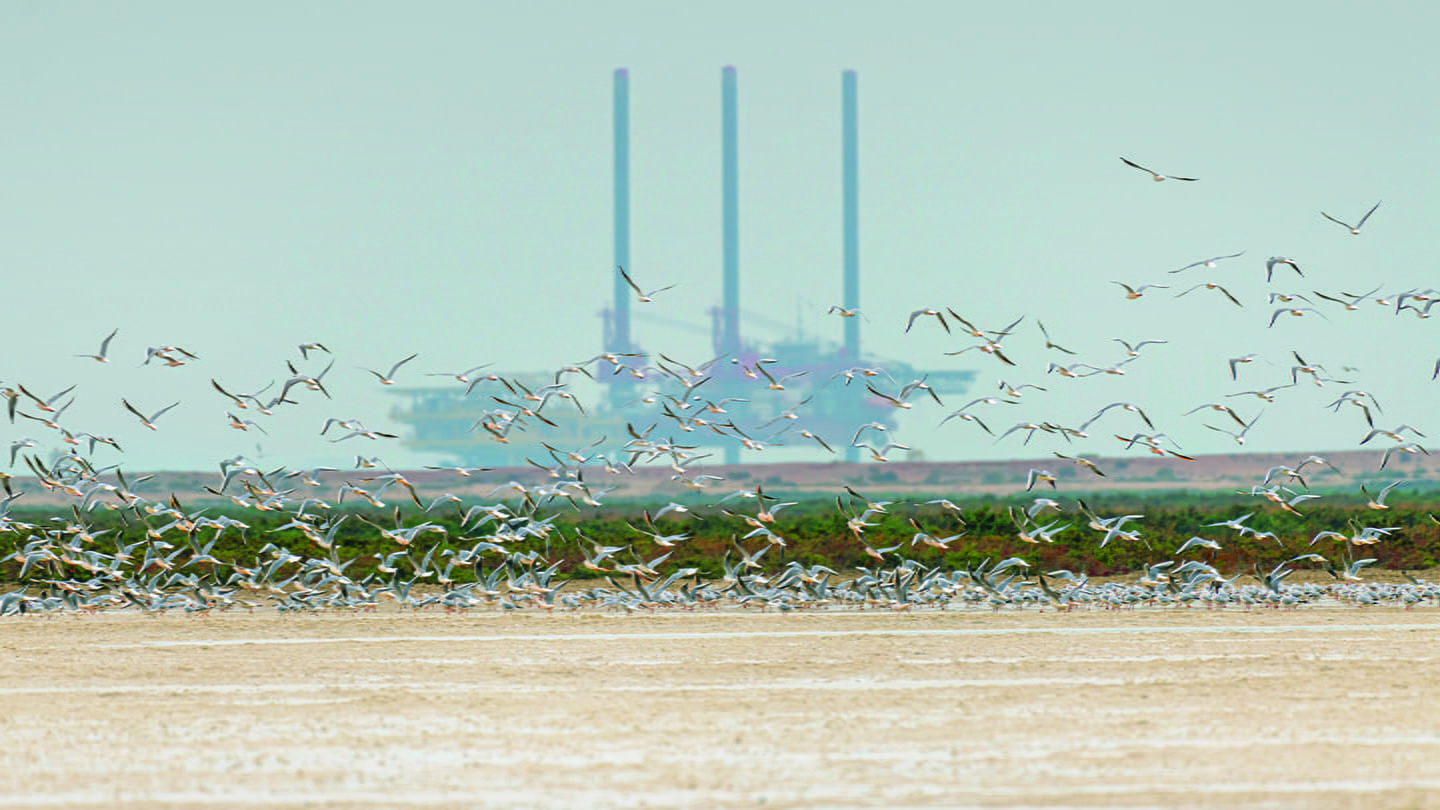 Our 2021 sustainability report | Aramco