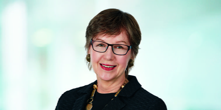 مجلس الإدارة