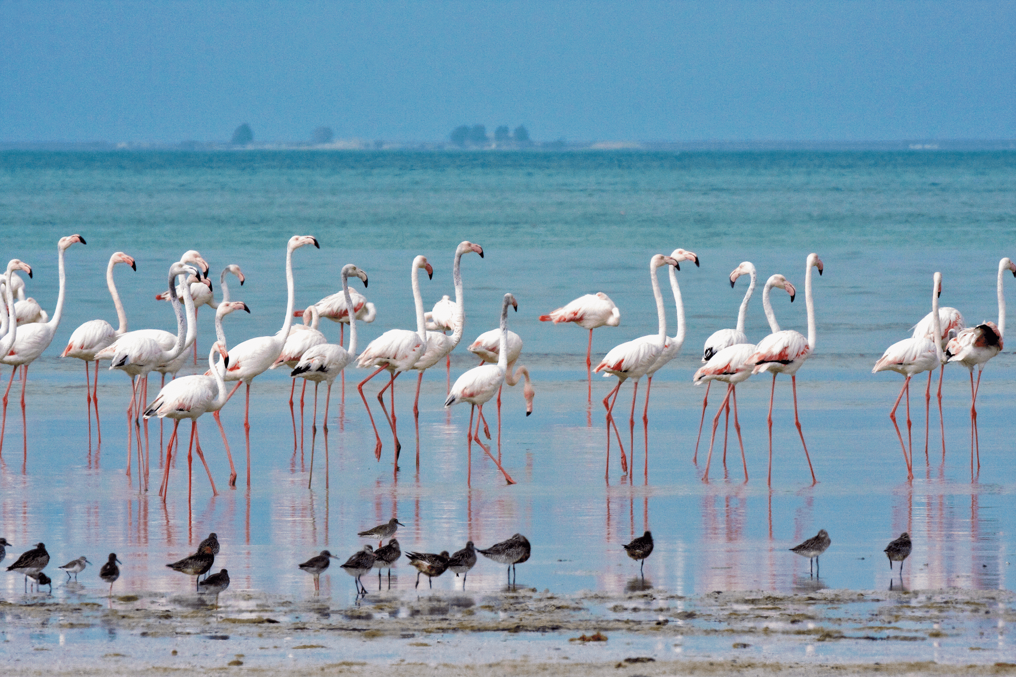 Manifa – Offshore and ocean technology | Aramco